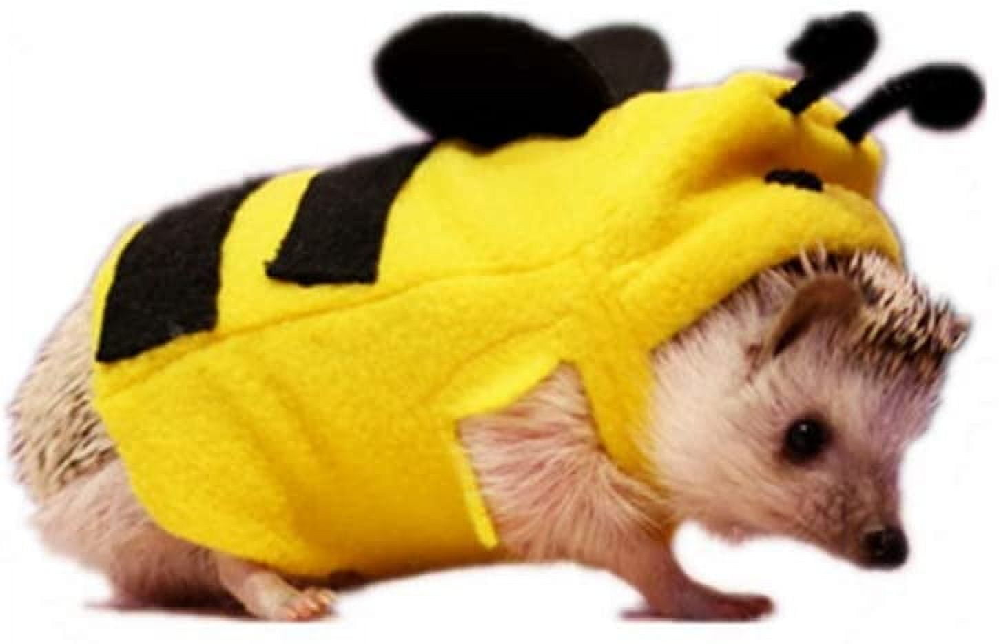 CHENHAINAN Hedgehog Clothes Bee Costume Small Animal Apparel Polar ...