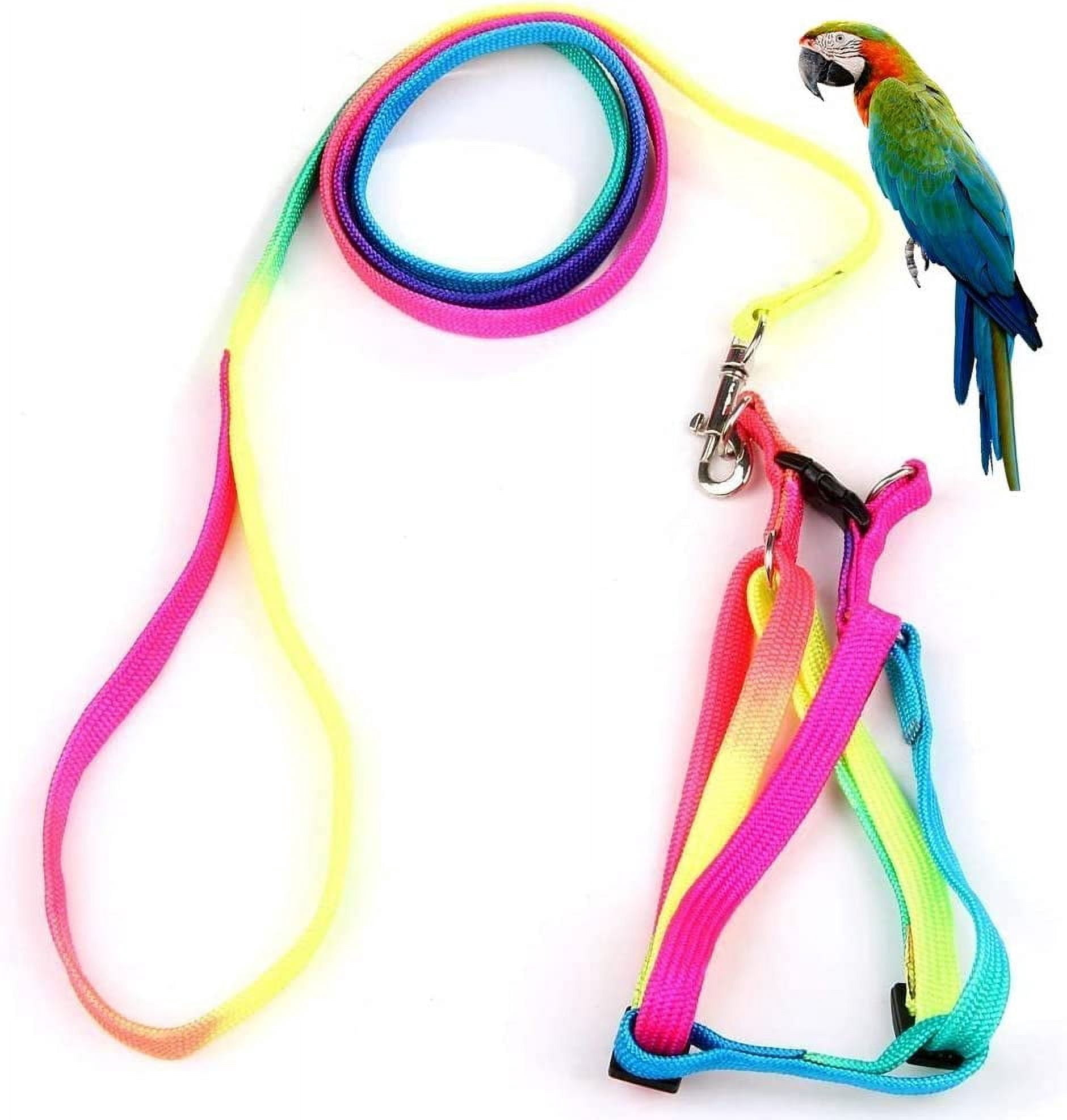 CHENHAINAN Pet Bird Harness and Leash with Buckle Adorable Rainbow ...