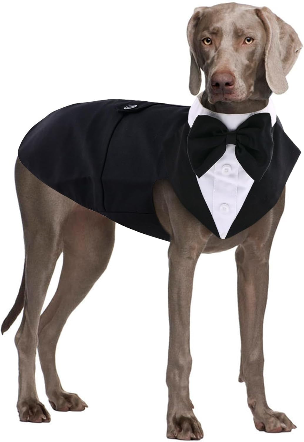 CHENHAINAN Tuxedo for Large Dogs, Suit and Bandana Set, Wedding Outfit ...