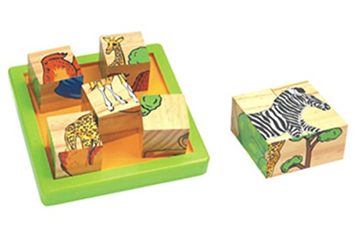 CHH Wooden Block Puzzle (9 Piece) - Walmart.com