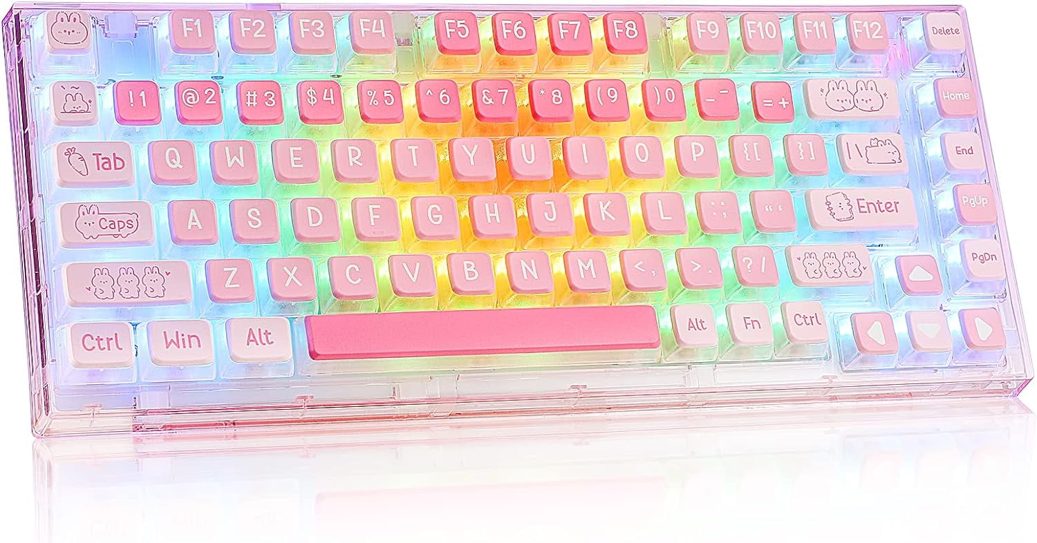 CHICHEN Mechanical Gaming Keyboard,Cool RGB Backlit,2.4Ghz Wireless ...