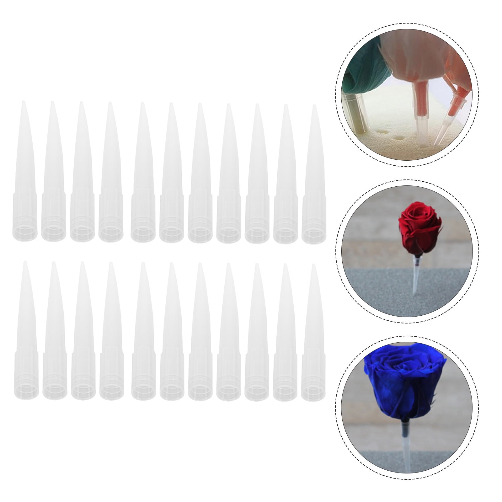 CHICHUMID 100Set Transparent Plastic Flower Stems Tube Holder for Fresh ...