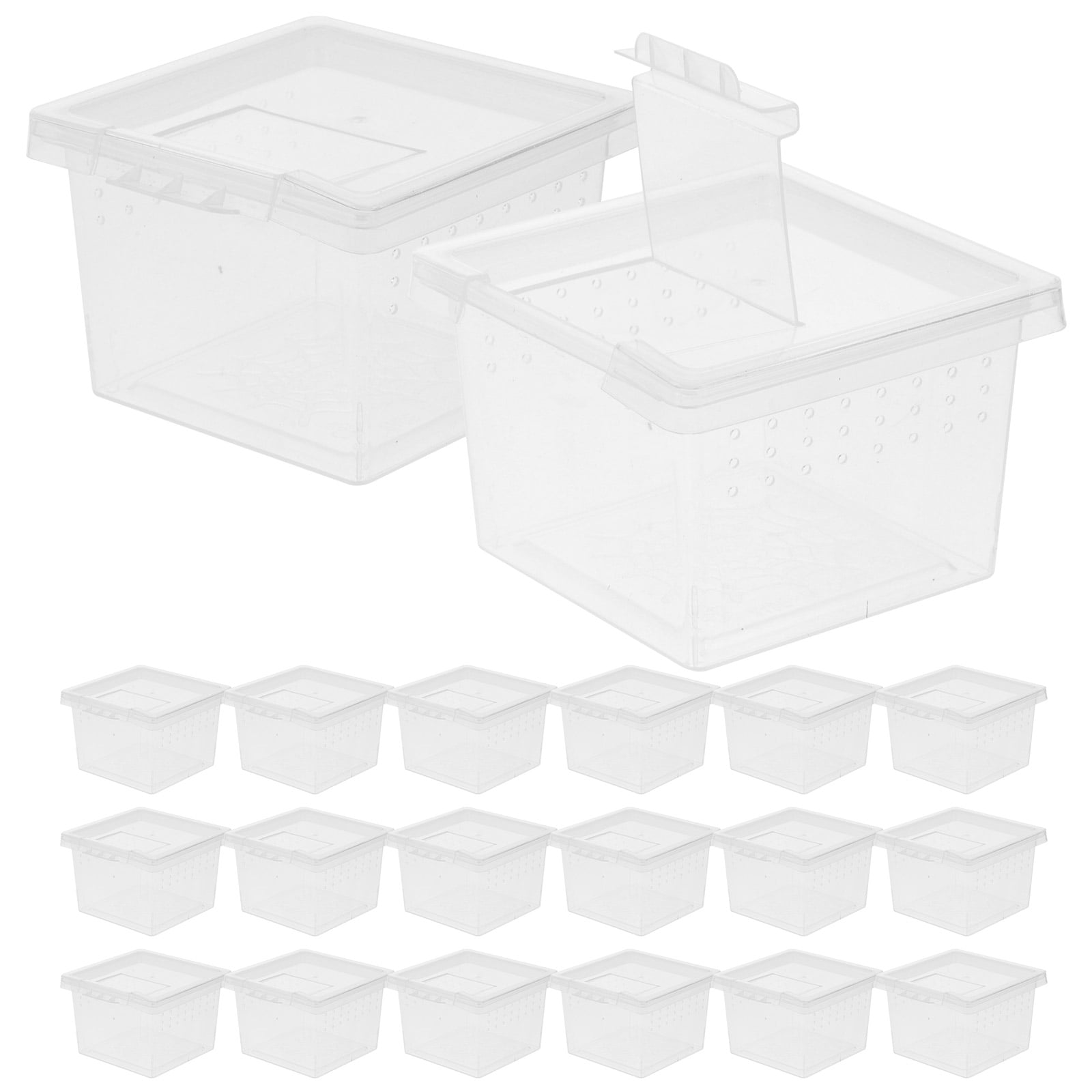 CHICHUMID 20Pack Transparent Reptile Breeding Case Portable and Compact ...