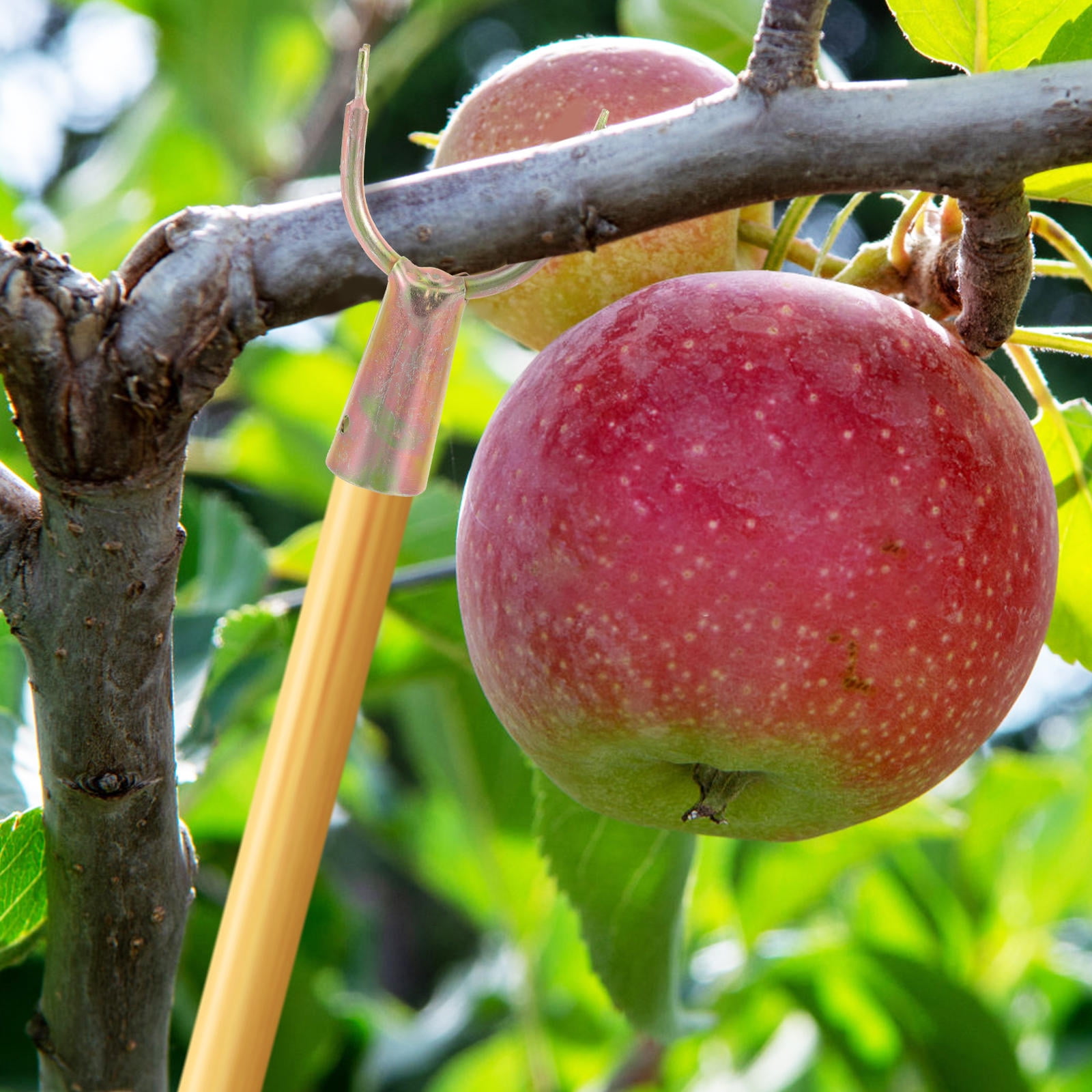 CHICHUMID 9.5X6CM Simple Structure Tree Brace Support Kit for Outdoor ...