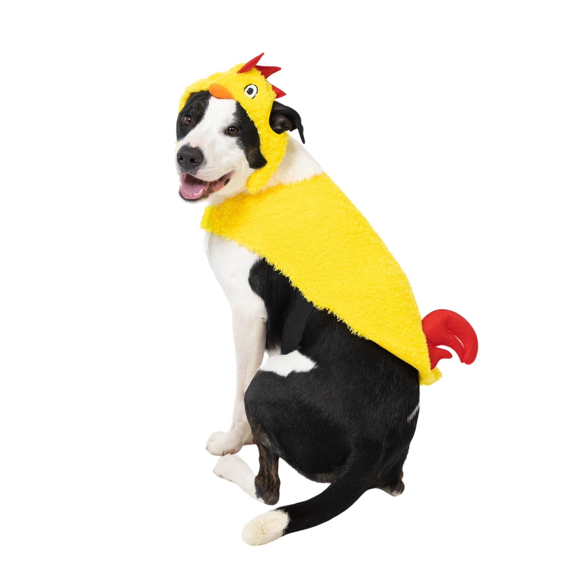 Vibrant Life Halloween Chicken Costume for Dogs, Yellow, Medium ...