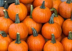 CHIHUT Orange Peel and Stick Wallpaper 17.7"x100" Matte Self Adhesive ...