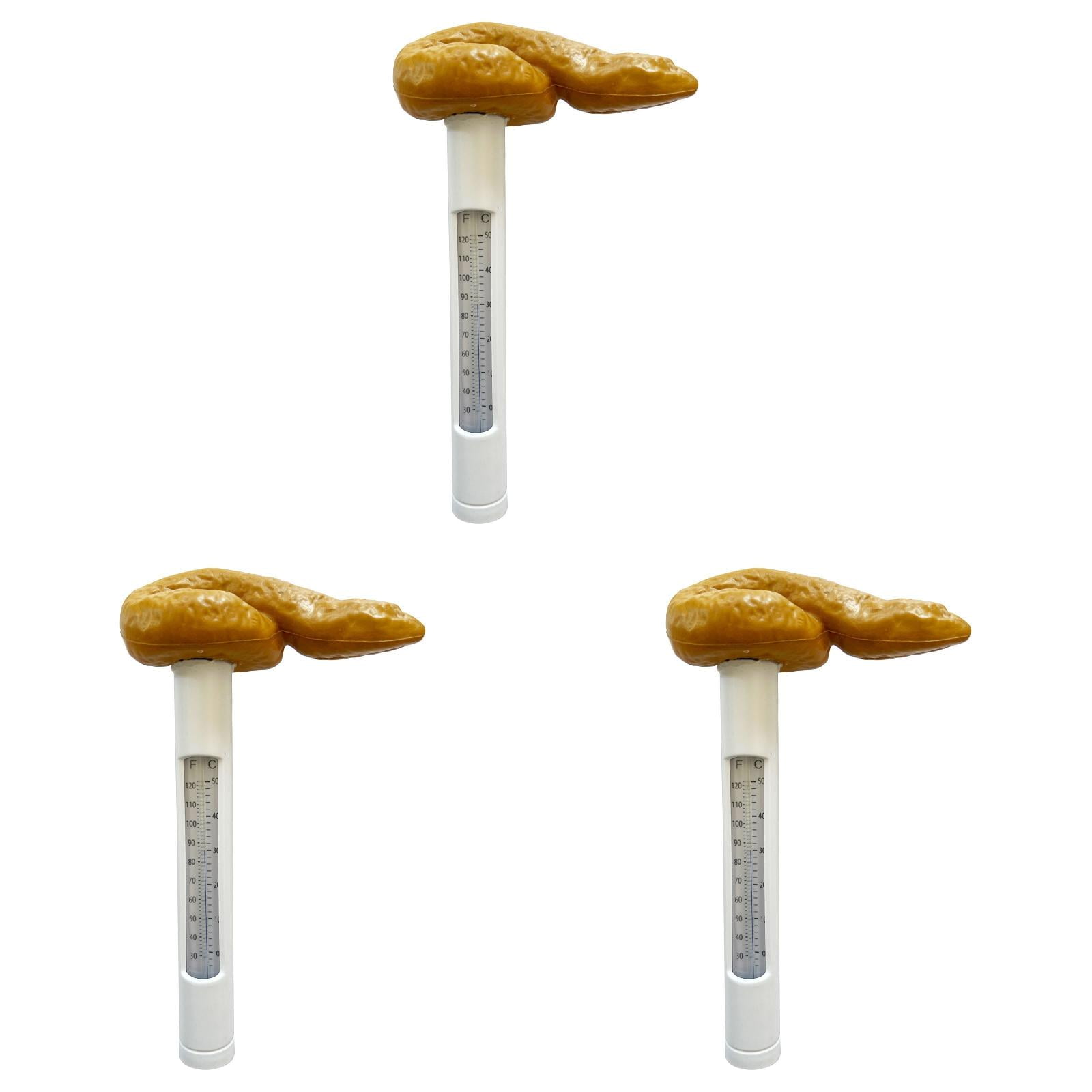 CHIKANSTORE 3PCS Funny Floating Pool With Accurate Temperature Display ...