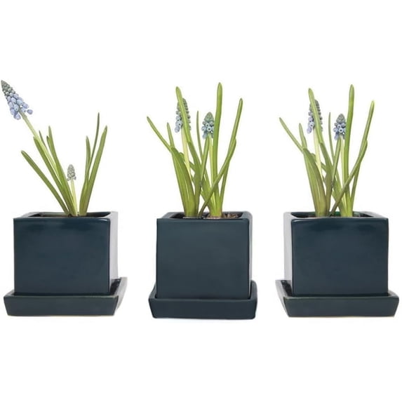 CHIVE - 3 Piece Set Square Succulent Cactus Planter Pot, 3 Inch Ceramic ...