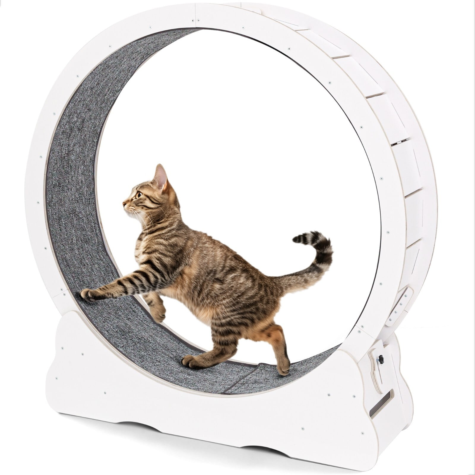 CHLET Cat Exercise Wheel, Large Cat Treadmill Wheel for Indoor Cats ...