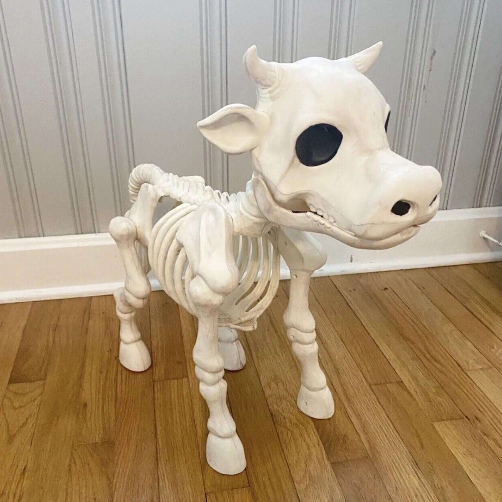 Cow Skeleton