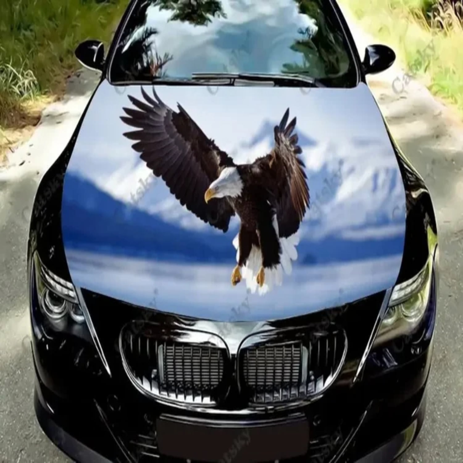 CHNGXJC Protective Flight of the Eagle Car Engine Cover Hood Vinyl ...