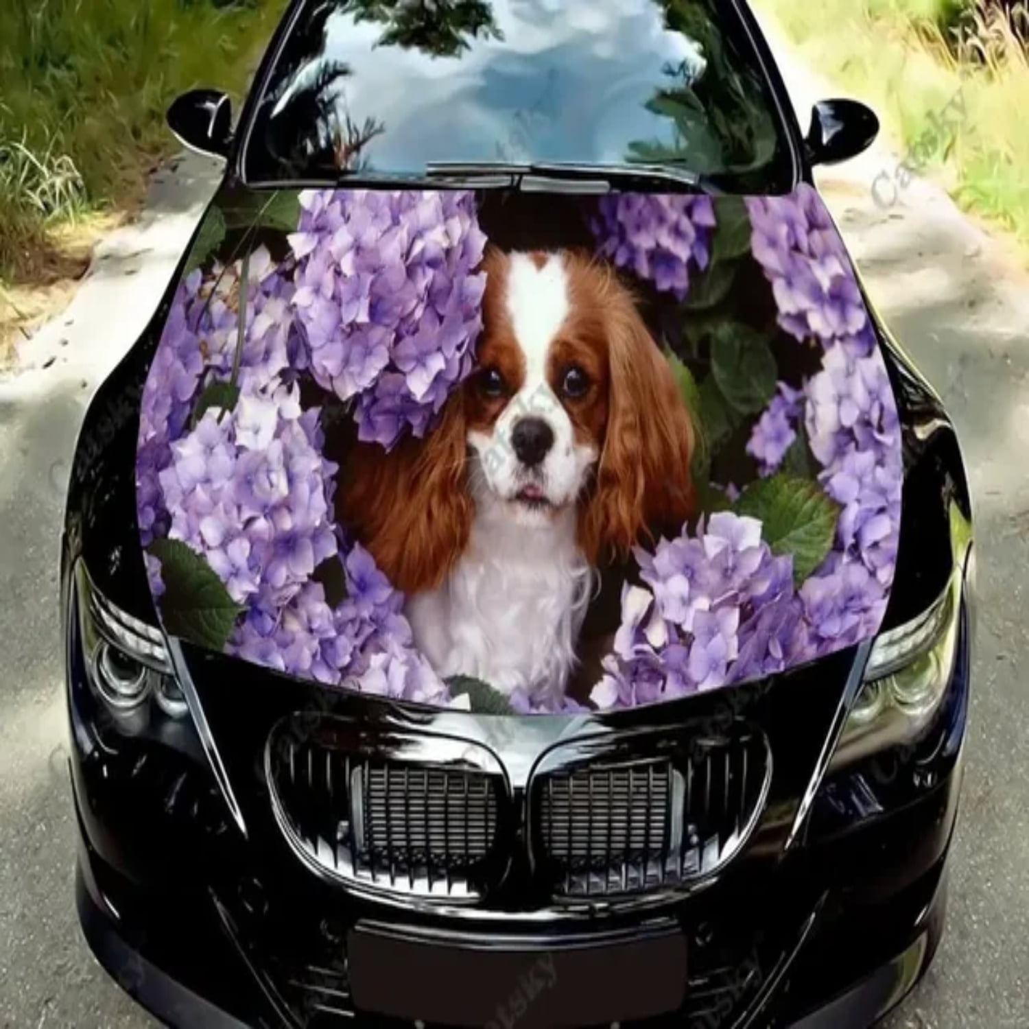 CHNGXJC Stunning King Charles Spaniel Car Hood Vinyl Decal Stickers ...