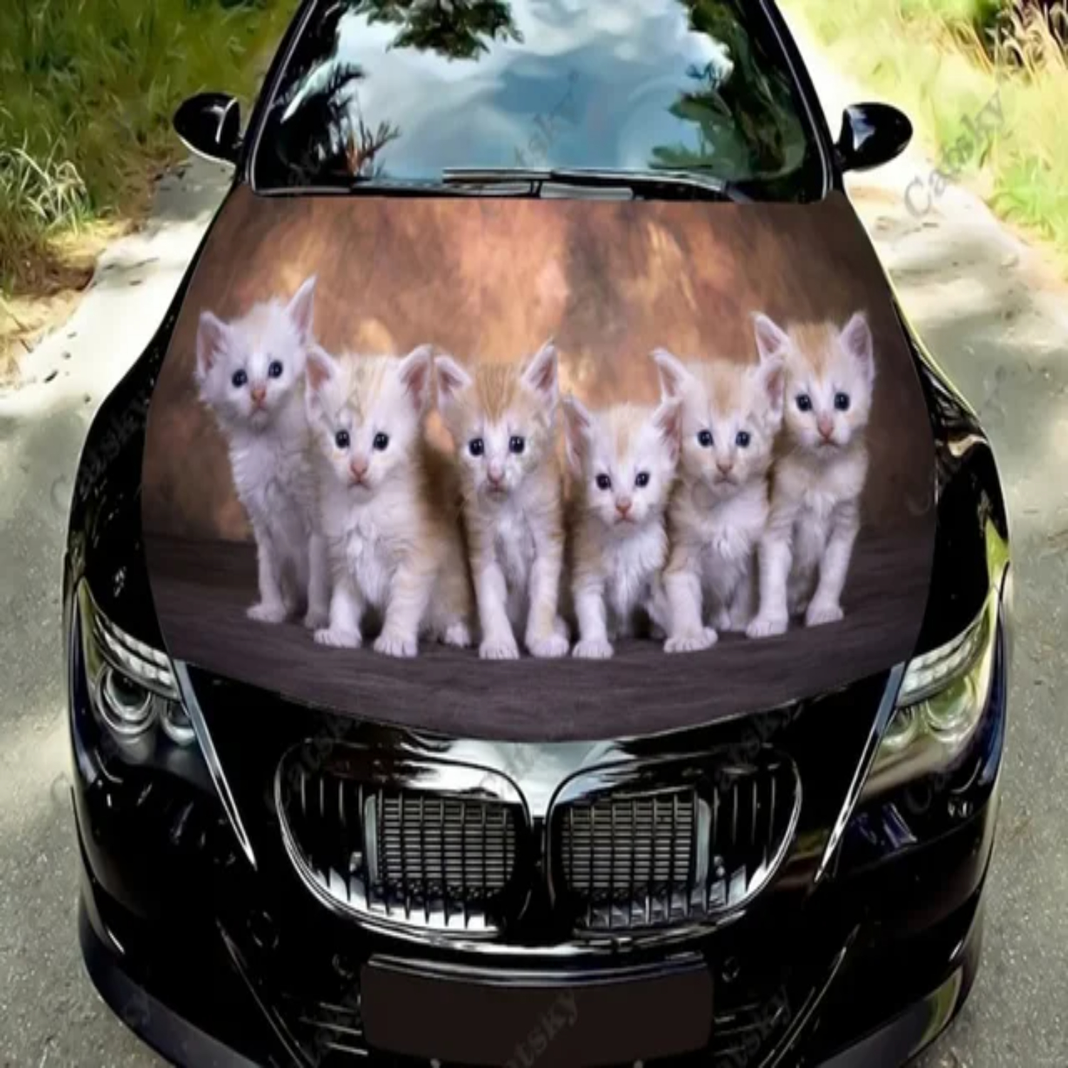 CHNGYCX Funny Cute Cat Animal Vinyl Stickers Wrap Film - Car Hood ...