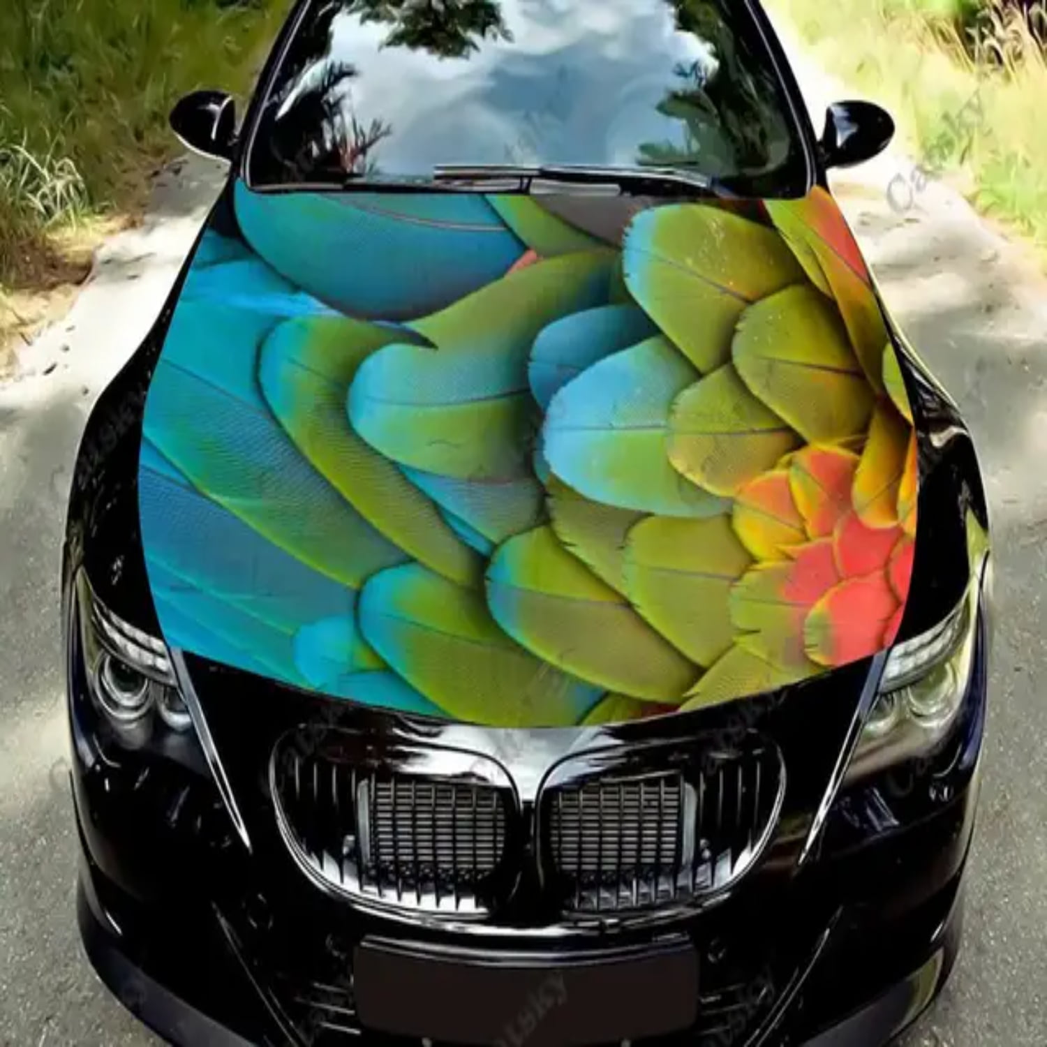 CHNGYJC Custom Beauty Parrot Feather Car Hood Vinyl Wrap Sticker Decal Engine Cover Auto ...