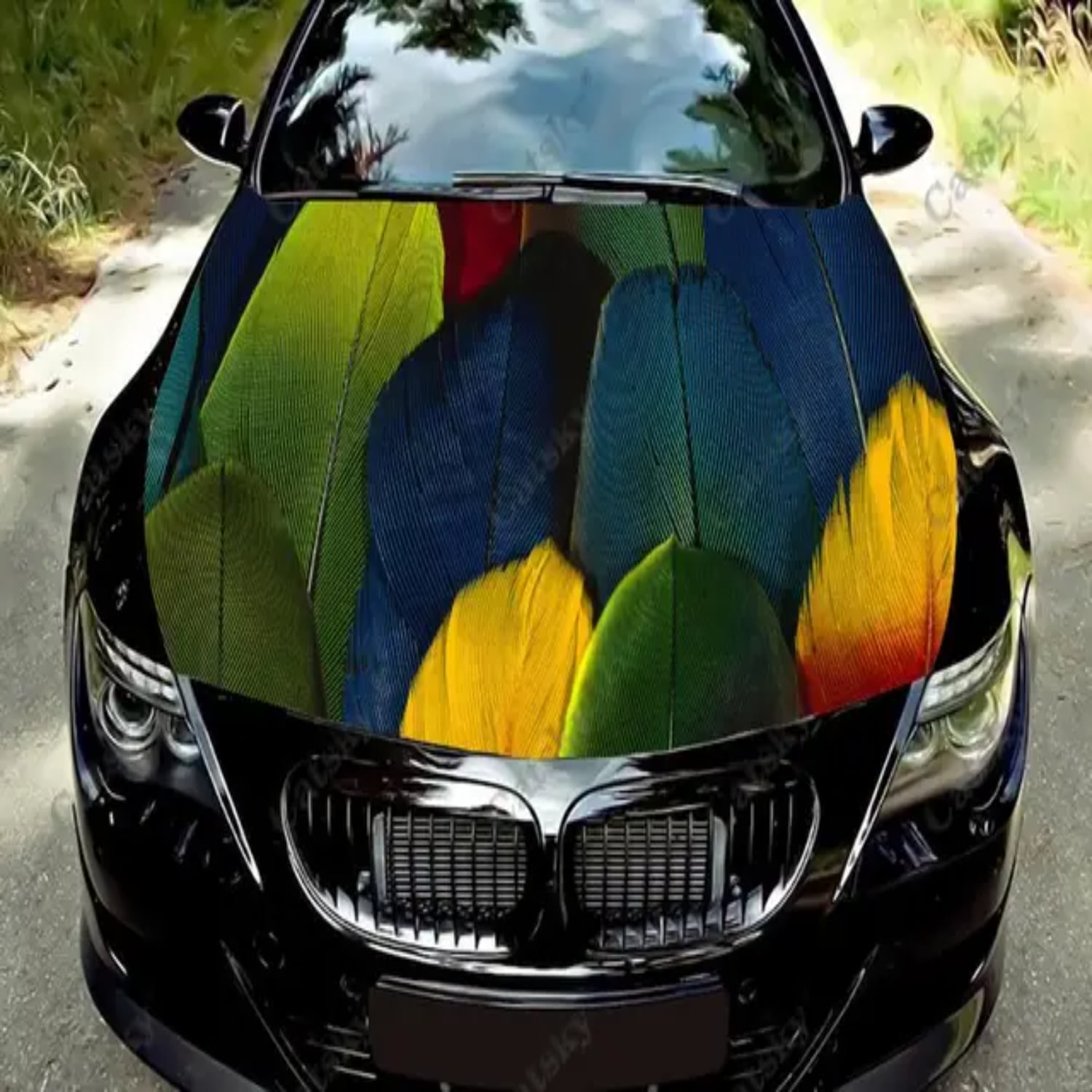 CHNGYJC Custom Beauty Parrot Feather Car Hood Vinyl Wrap Sticker Decal ...