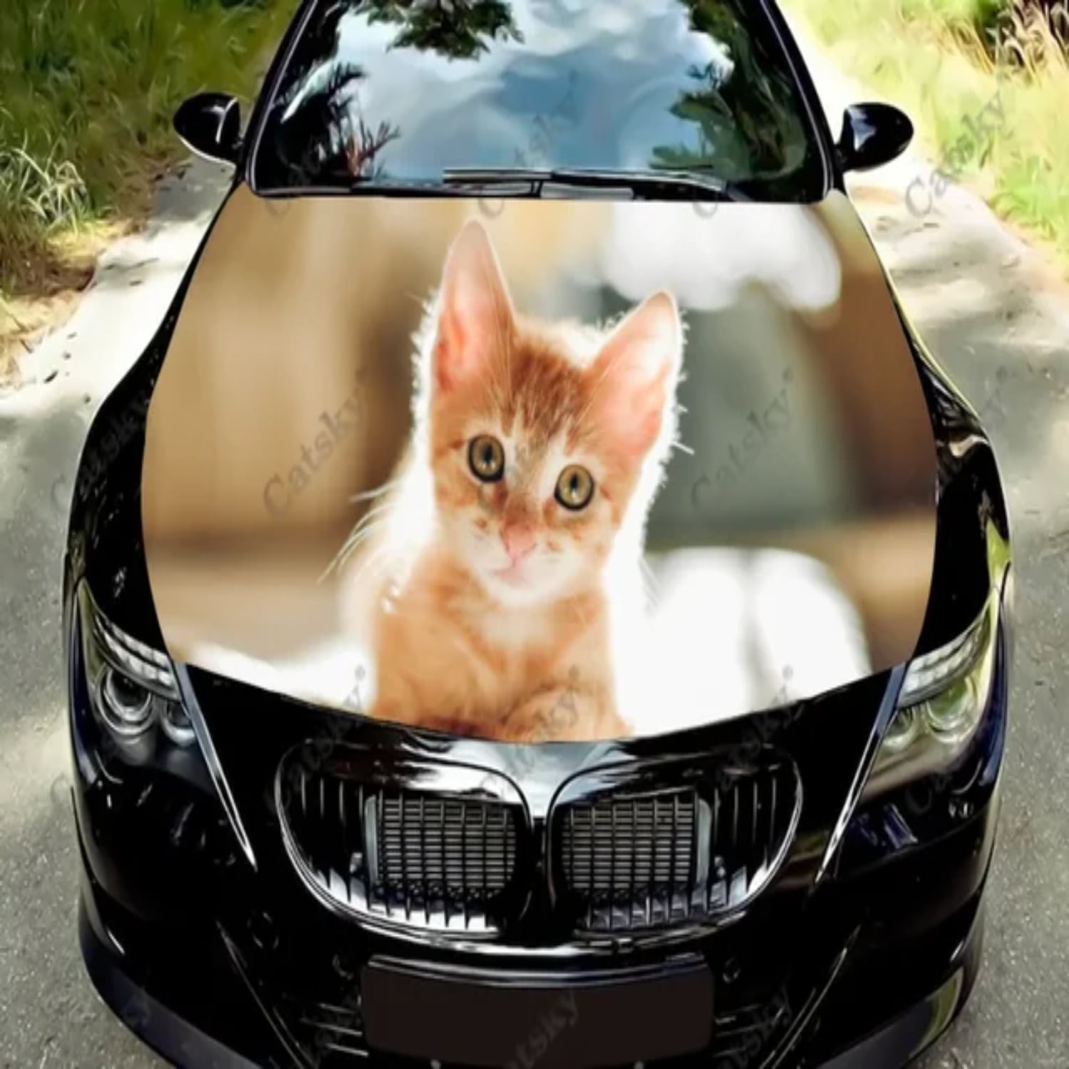CHNGYJC Cute Funny Animal Cat Car Hood Protective Film Vinyl Stickers ...