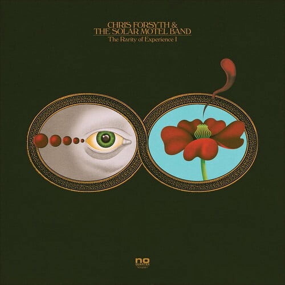 Chris Forsyth & the Solar Motel Band - The Rarity Of Experience - Music ...