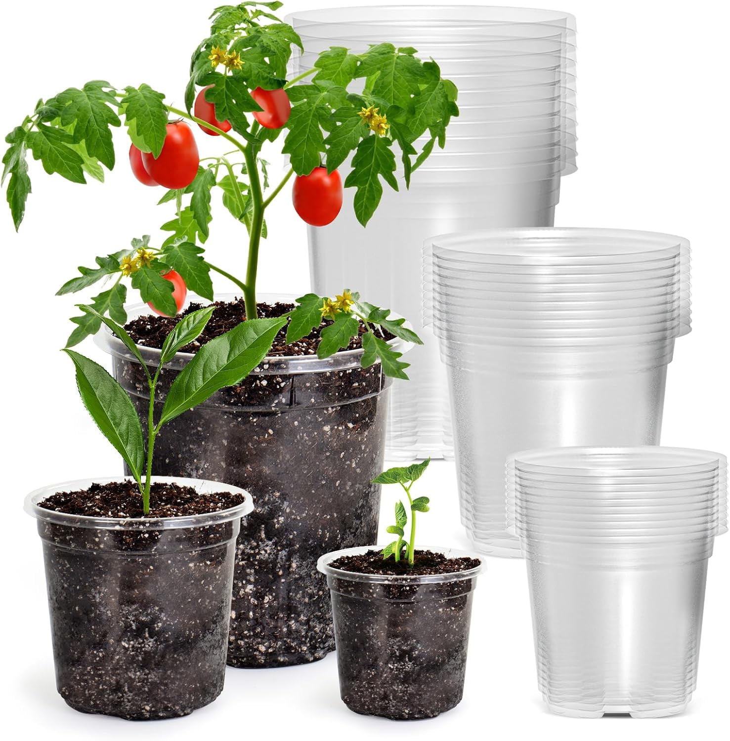 CHUNTIAN 30 Packs 4 Inch Reinforced Clear Nursery Pots with Humidity ...