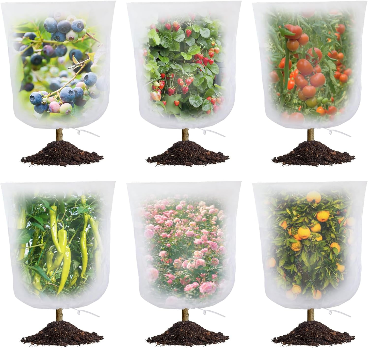 CHUNTIAN Bird Netting for Blueberry Bushes - 6Pcs Garden Netting Pest ...