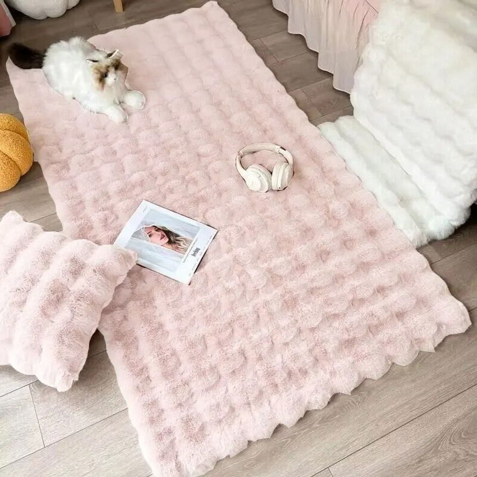 CHUNTIAN Bubble Plush Carpet For Home Decor Imitation Rabbit Hair ...