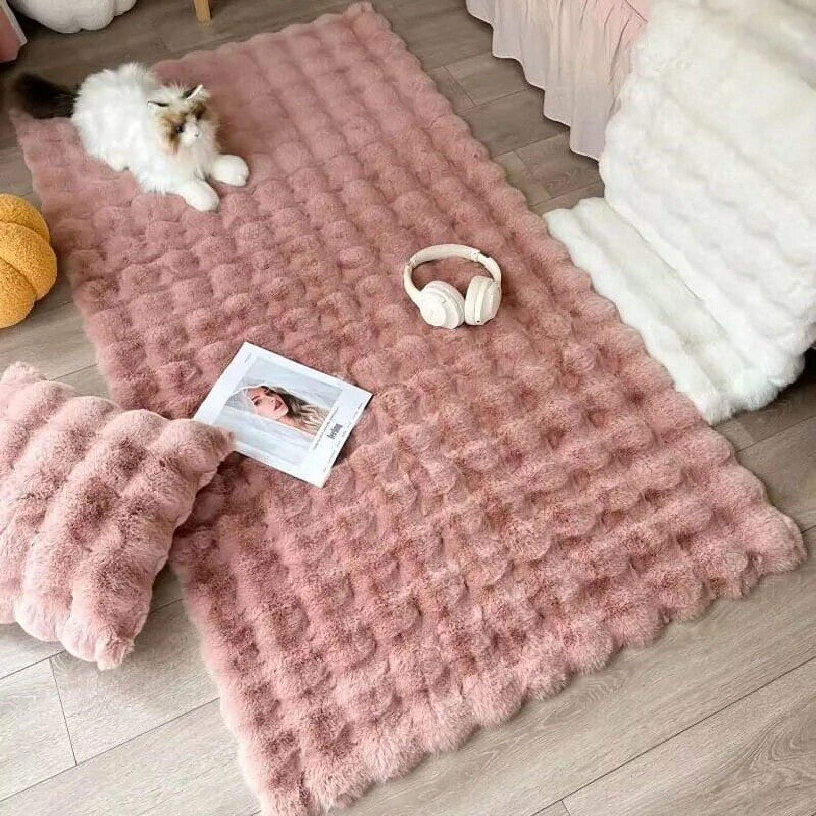 CHUNTIAN Bubble Plush Carpet For Home Decor Imitation Rabbit Hair ...