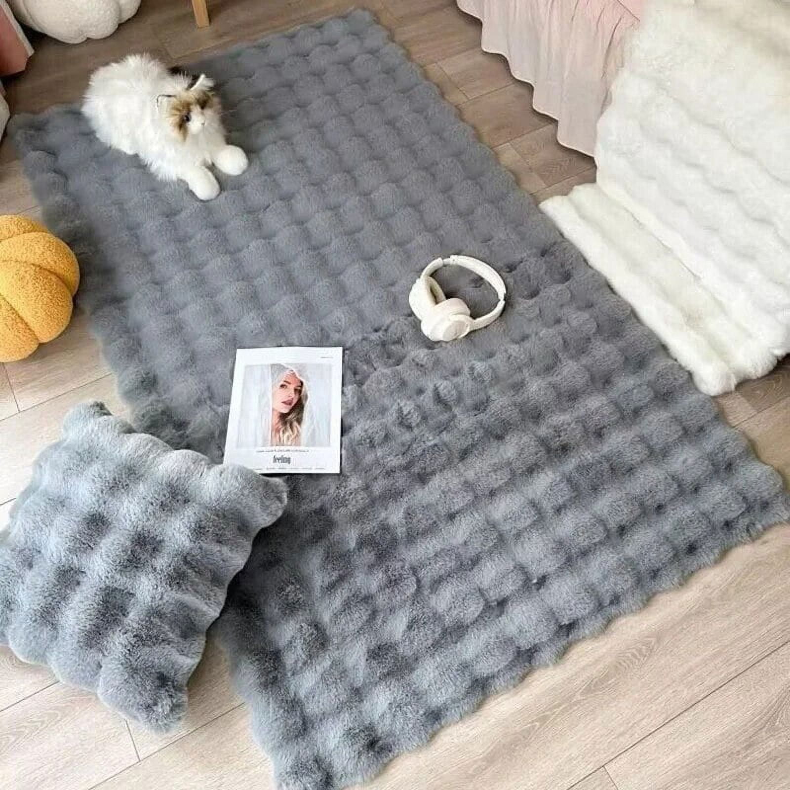 CHUNTIAN Bubble Plush Carpet For Home Decor Imitation Rabbit Hair ...
