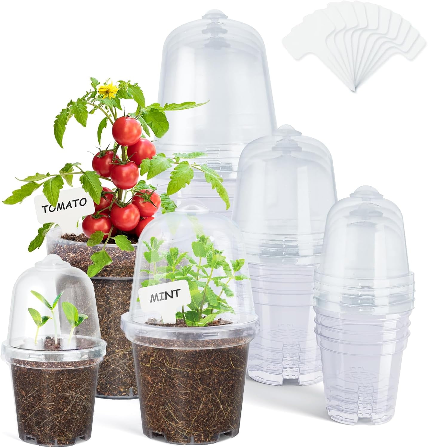 CHUNTIAN Clear Nursery Pots for Plants,4 Inch Plant Pot for Planting ...