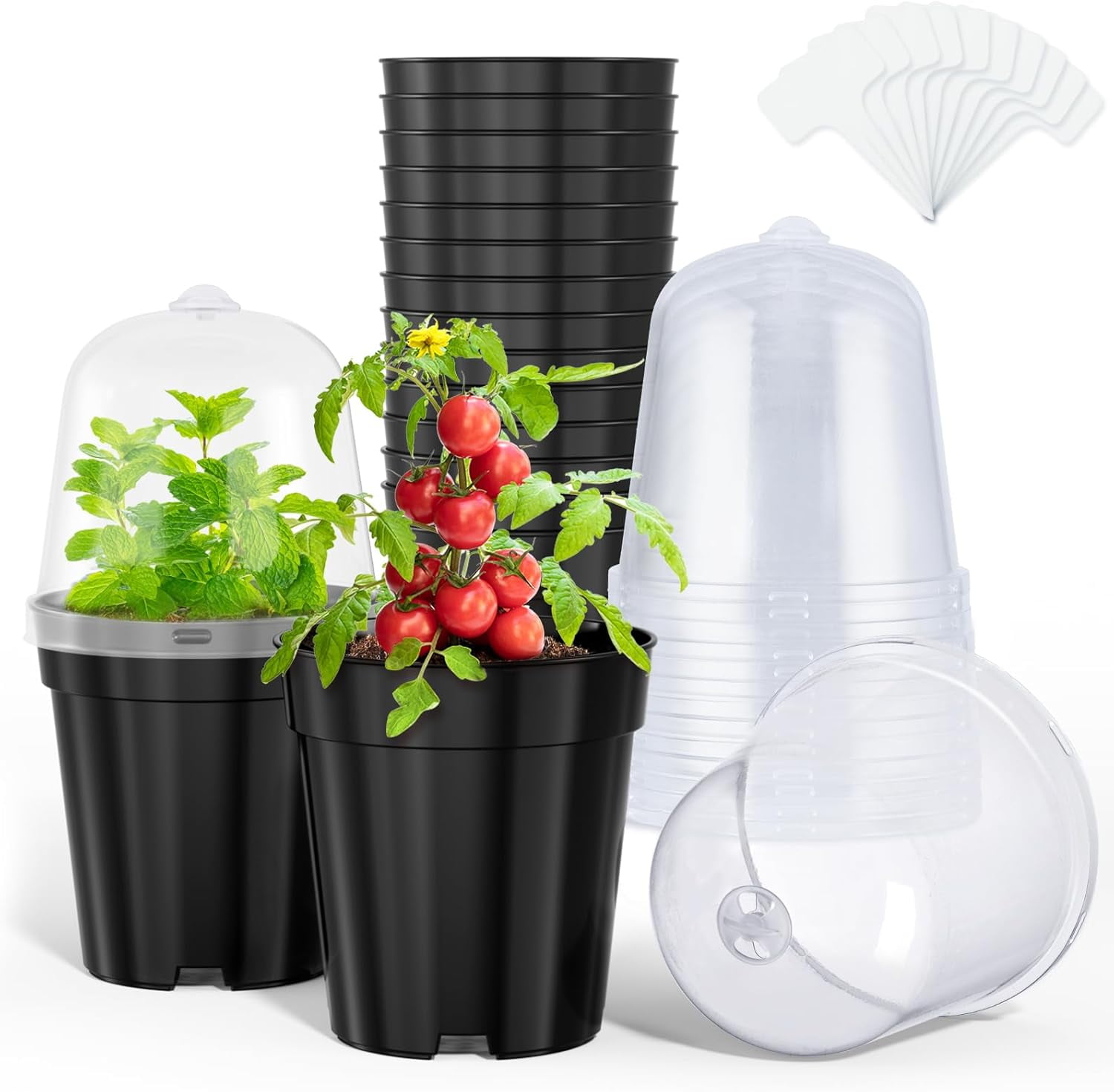 CHUNTIAN Clear Nursery Pots for Plants,4 Inch Plant Pot for Planting ...