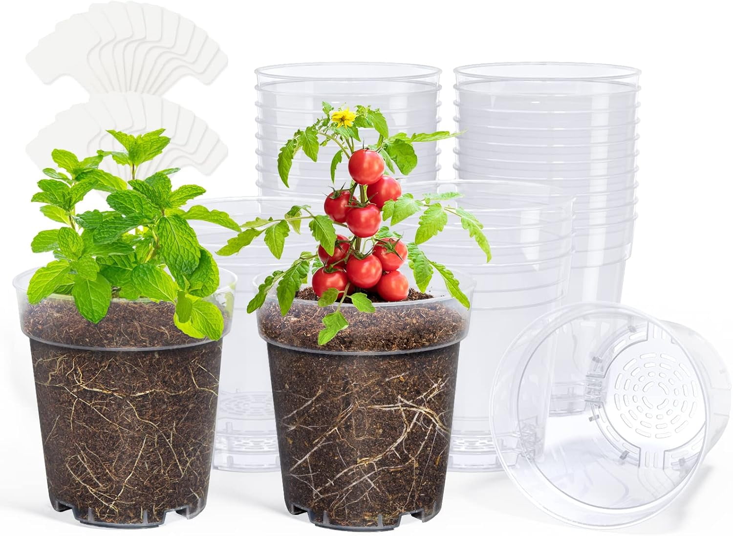 CHUNTIAN Clear Nursery Pots for Plants,4 Inch Plant Pot for Planting ...