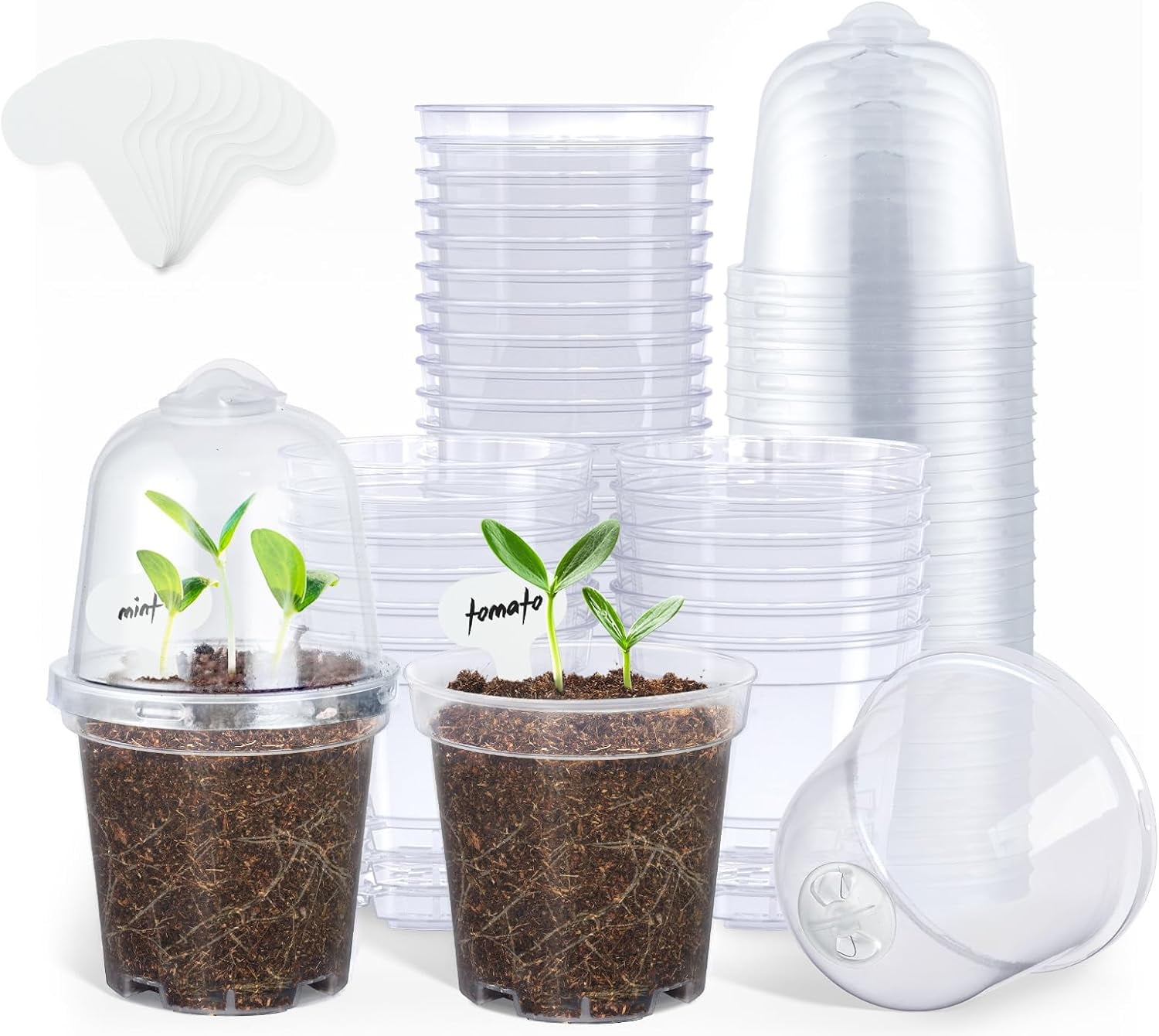 CHUNTIAN Clear Nursery Pots for Plants,4 Inch Plant Pot for Planting ...
