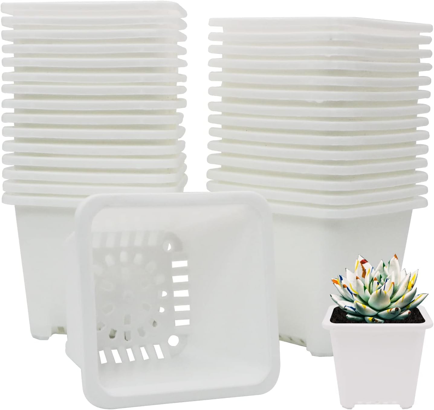 CHUNTIAN Plastic Nursery Pots 30 Pcs 4 Inch Small Plant Pot Durable ...