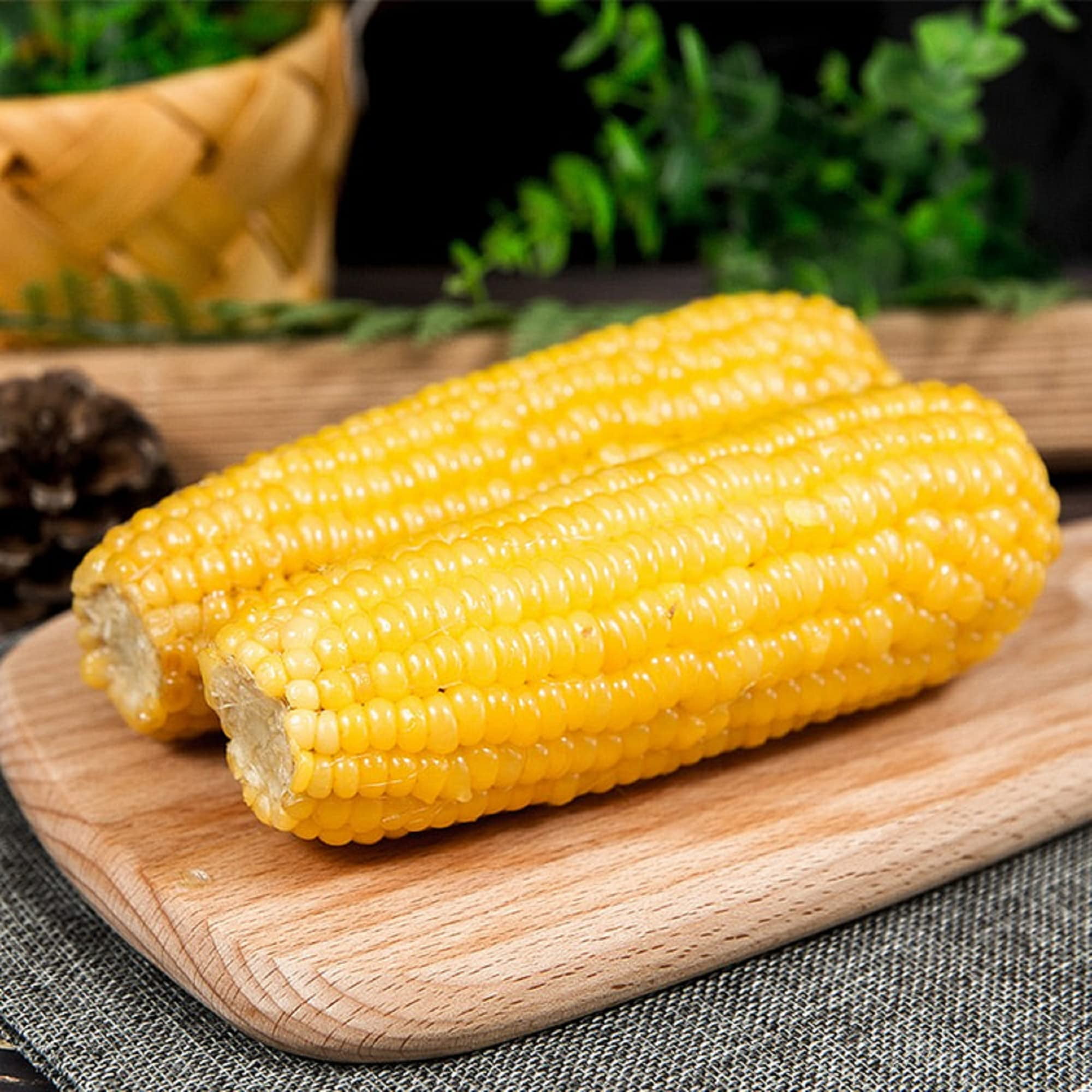 CHUXAY GARDEN Yellow TWE5 Sticky Waxy Corn Seed 100 Seeds Heirloom Non ...