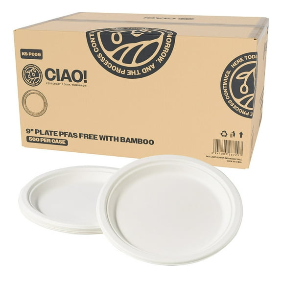 100% Compostable Paper Plates 9 Inch Heavy-Duty [125-Pack] Eco-Friendly ...