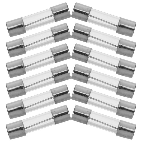CIMAXIC 20Pcs 125V Fast Blow Ceramic Microwave Fuse Silver for Home ...