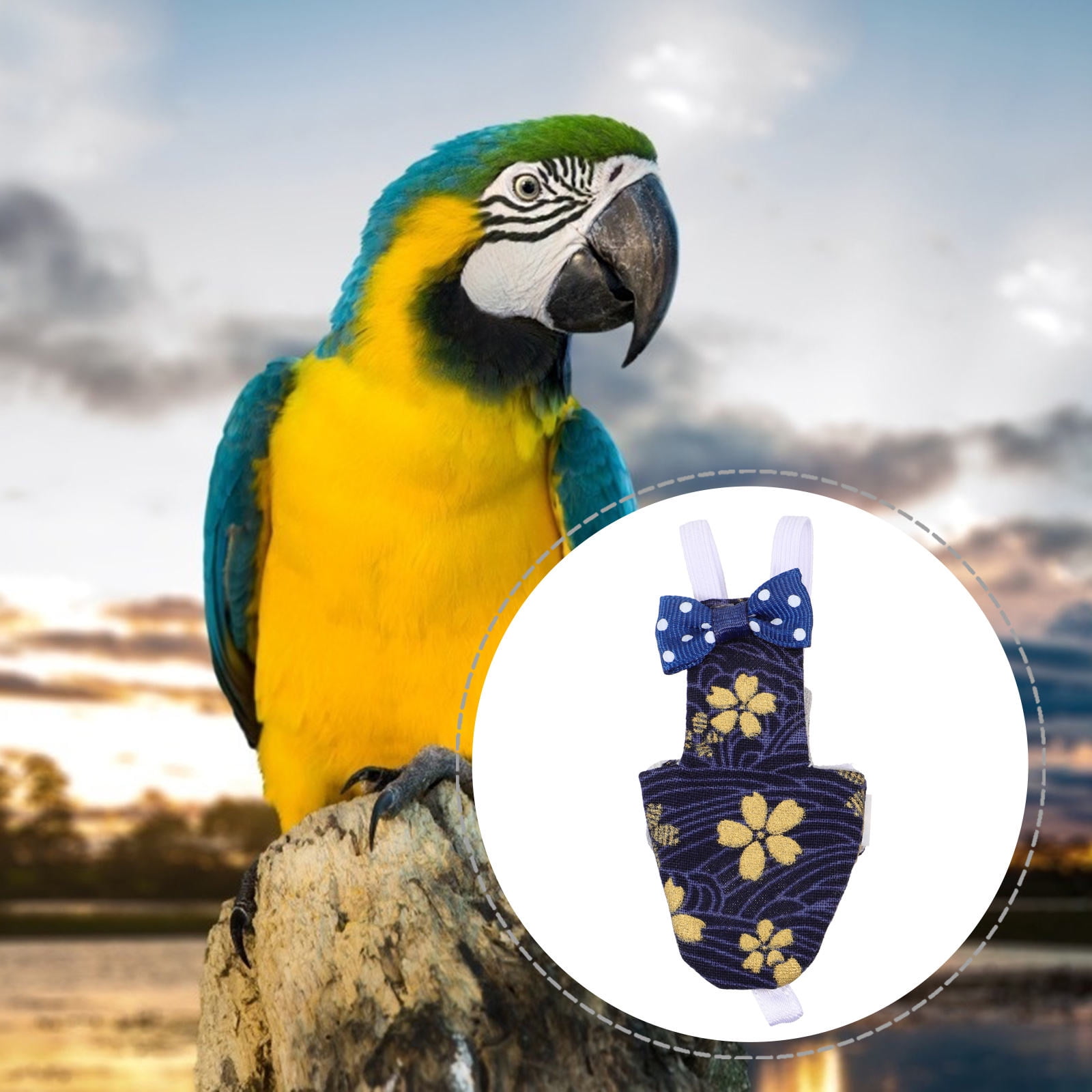 CIMAXIC Pet Parrot Flight Suits Diapers Fashion Design 1Pcs for Pet ...