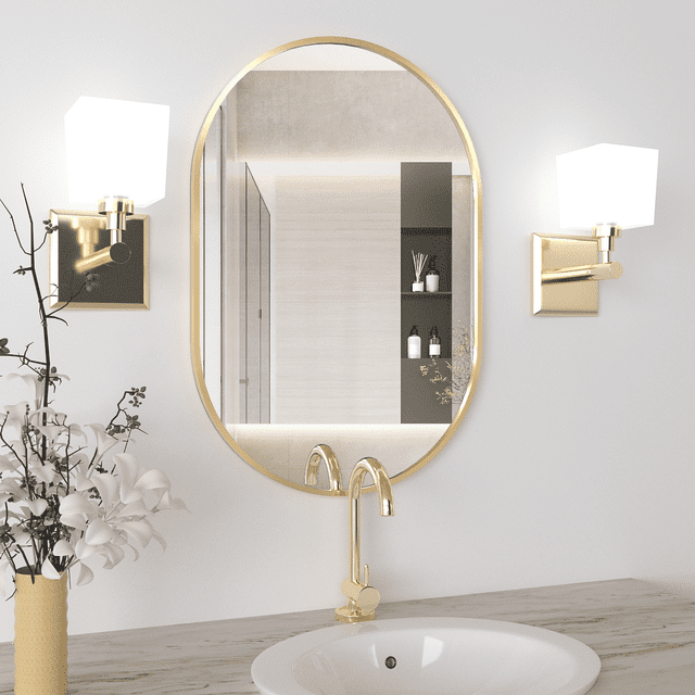 CISTEROMAN Oval Bathroom Mirror Capsule Wall Vanity Mirror, 20"x30 ...