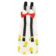 Hen Holster Bird Diaper/Harness (Made in USA) with Removable Vinyl ...