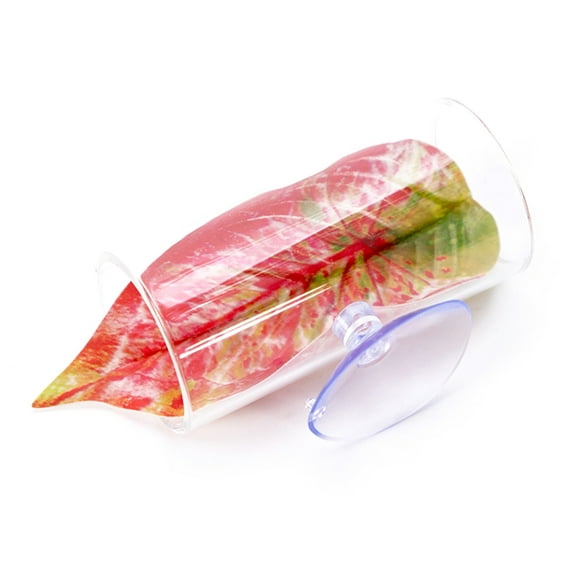 CIYISON Bettas Breeding Natural Habitats Creation Professional ...