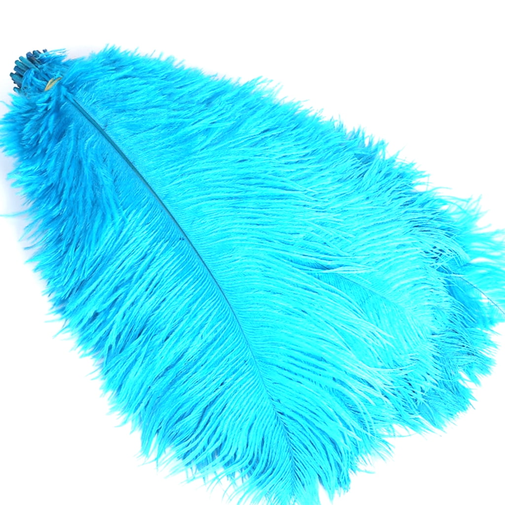 CIYISON Colored Ostrich Feather 10Pcs for Photography Props Flower ...