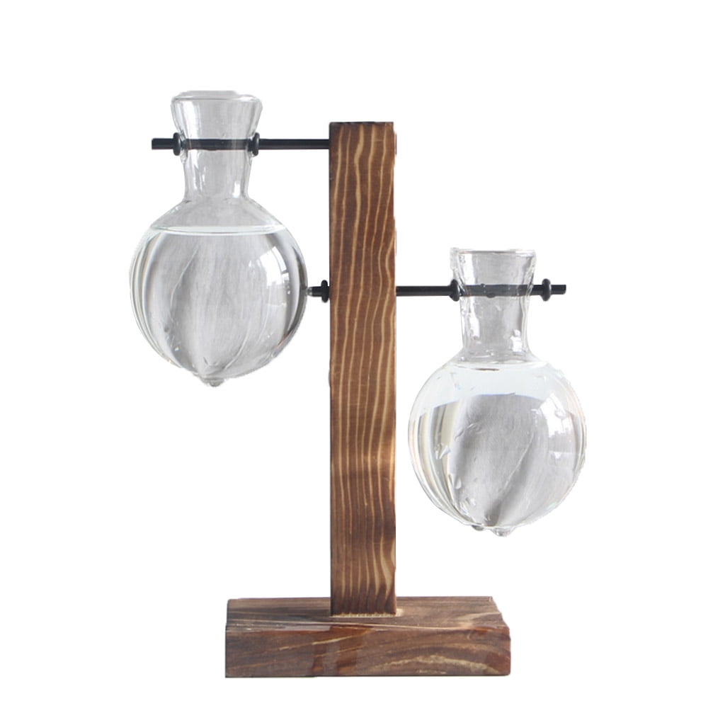 CIYISON Glass Bulb Vase Holder Container Planter Wooden Stand Plant ...