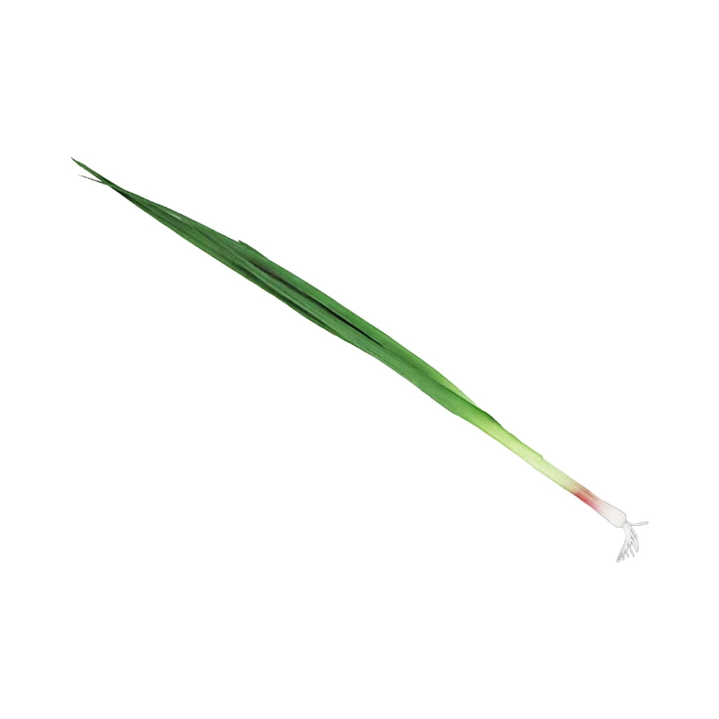 CIYISON Imitation Scallions False Garlic Sprouts Model Simulated ...