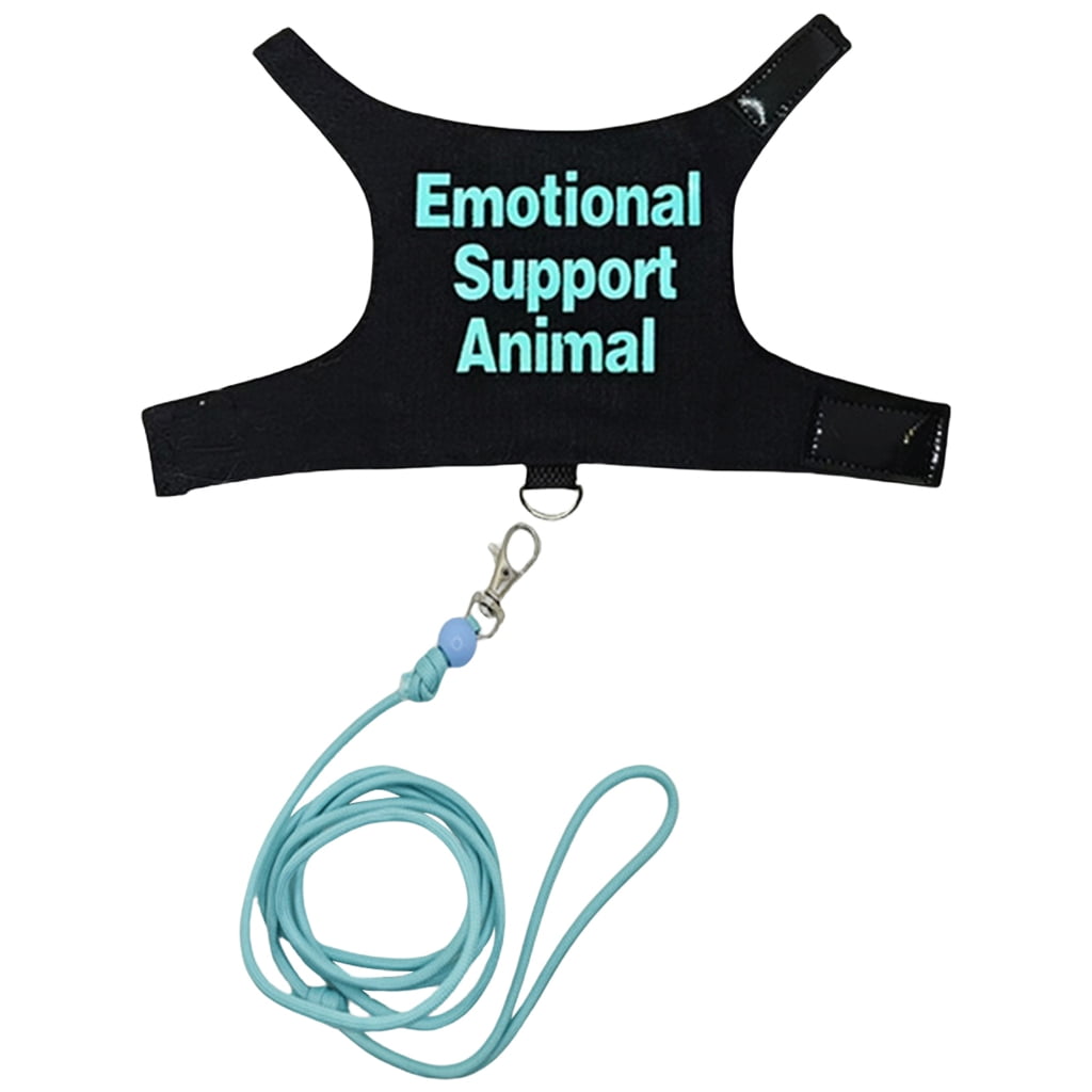 CIYISON Multicolor Regulable Harnesses Suit Bearded Dragon Leashes ...