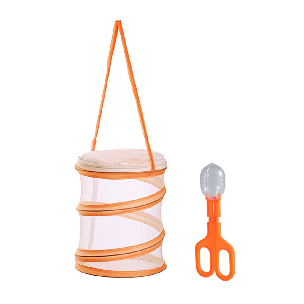 CIYISON Outdoor Insect Catch Cage Set for Kids Handy Gogga Scoopers for ...