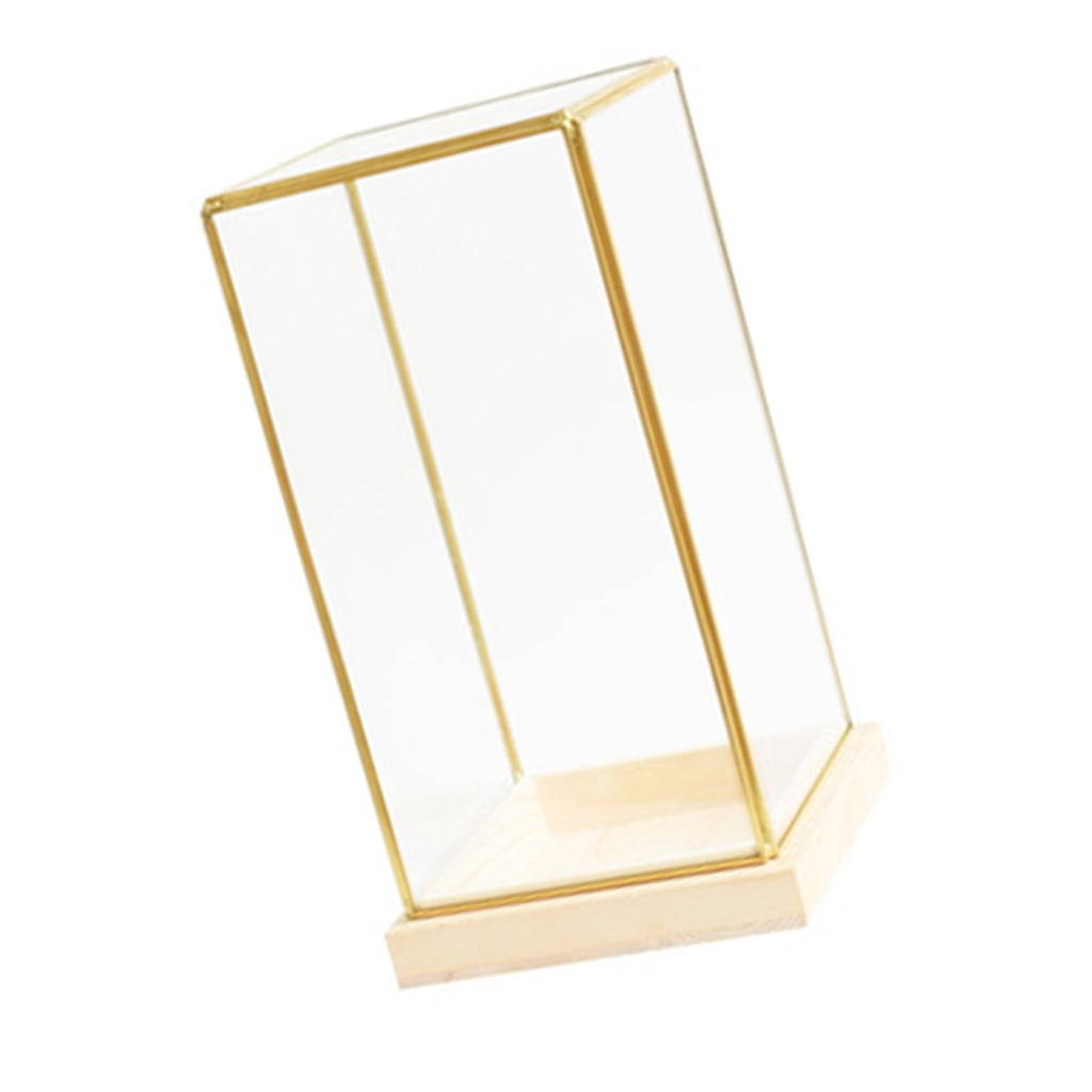 CIYISON Protective Glass Display Case for Collectibles for Desk and ...