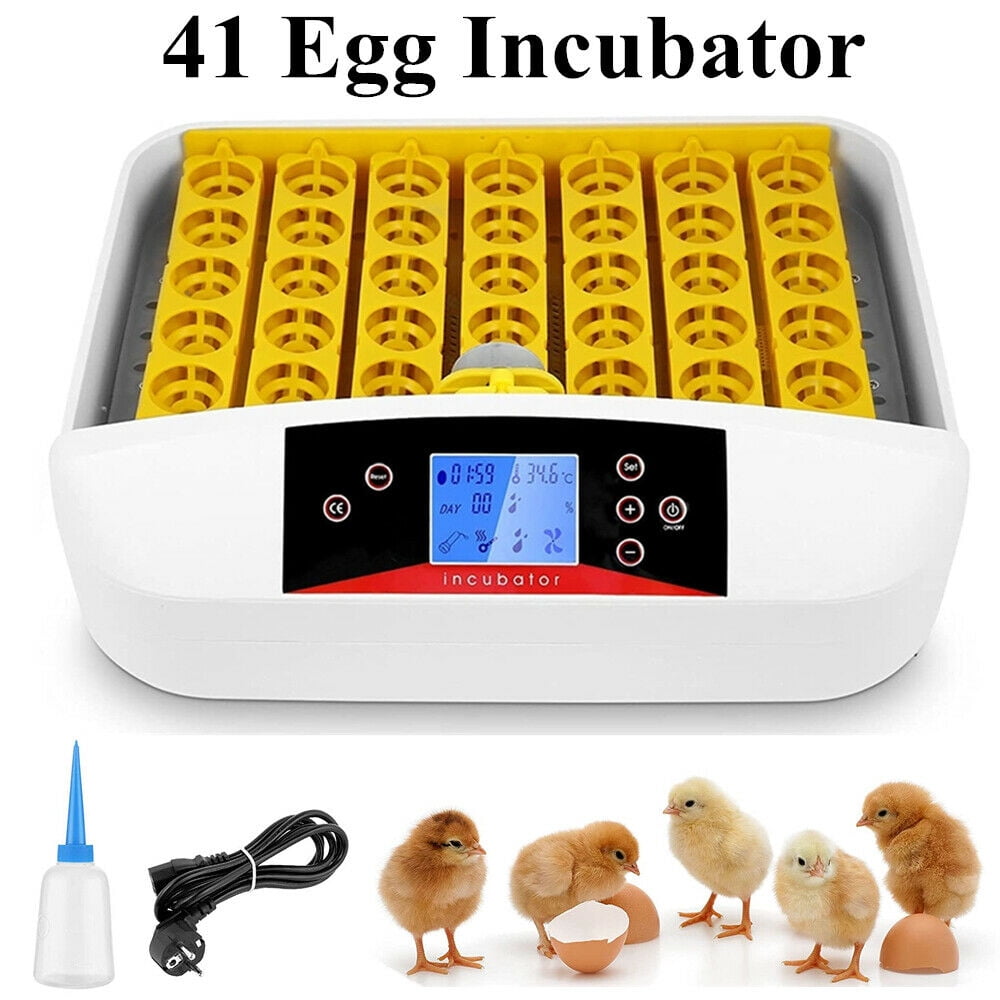 CJC 41 Egg Incubator with Automatic Egg Turning and Temperature Control ...