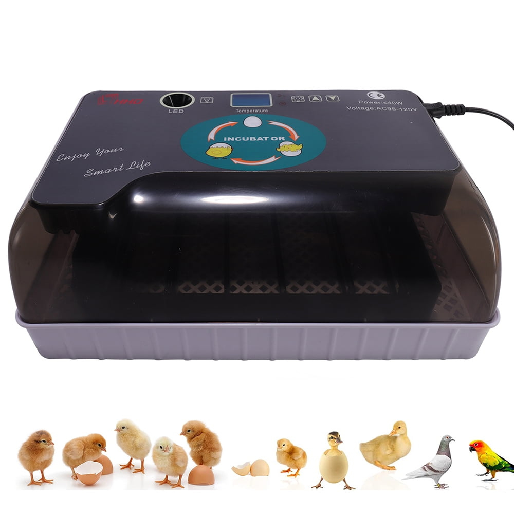 CJC Egg Incubator 12 Eggs Fully Automatic Poultry Hatcher Machine with Automatic Turning and ...
