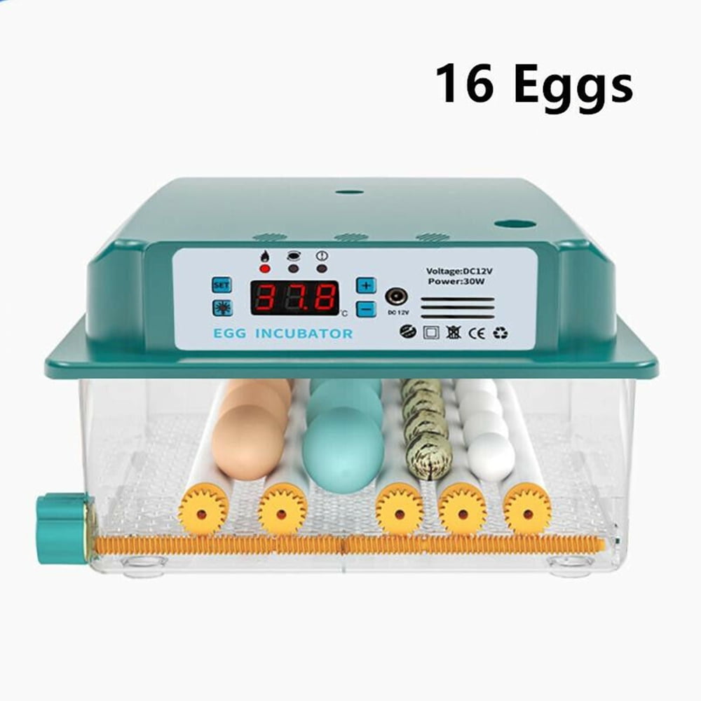 CJC Egg Incubator, 16/36 Eggs Fully Automatic Poultry Hatcher Machine ...