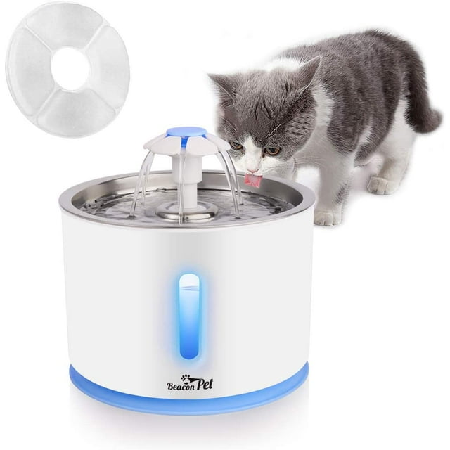 CJC Automatic Pet Fountain, Stainless Steel, 2.4L Dog/Cat Water ...