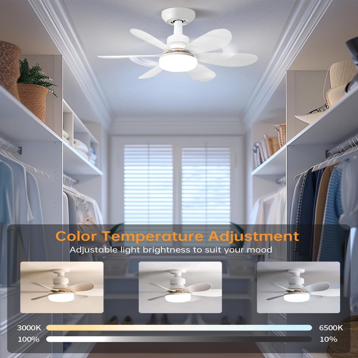 CKLXNGT Dimmable Small Socket Fan Light with Remote Control 20.5 Inch ...