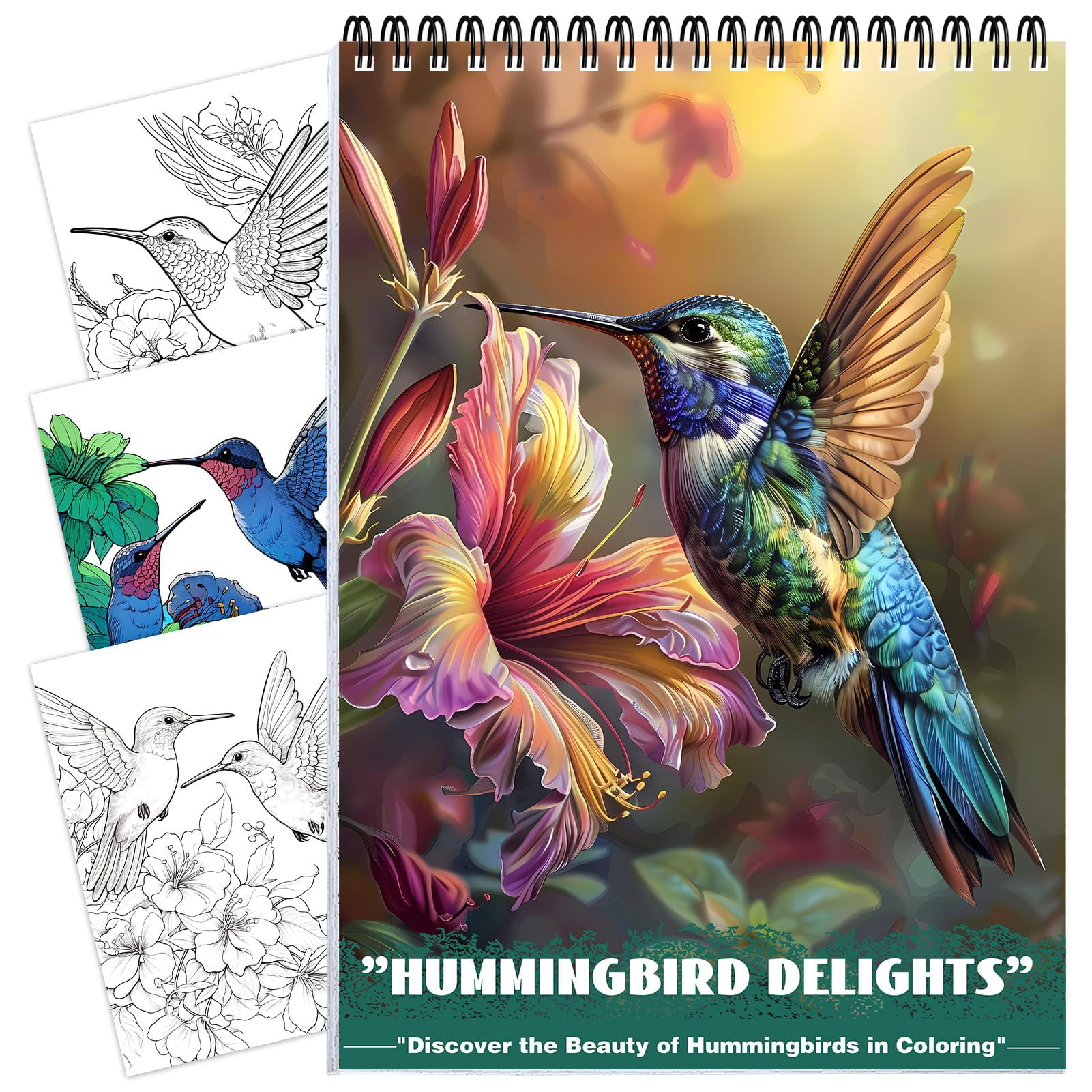 CKMOREL Humming Bird Adult MFF30 Coloring Book Spiral Mindfulness Adult ...